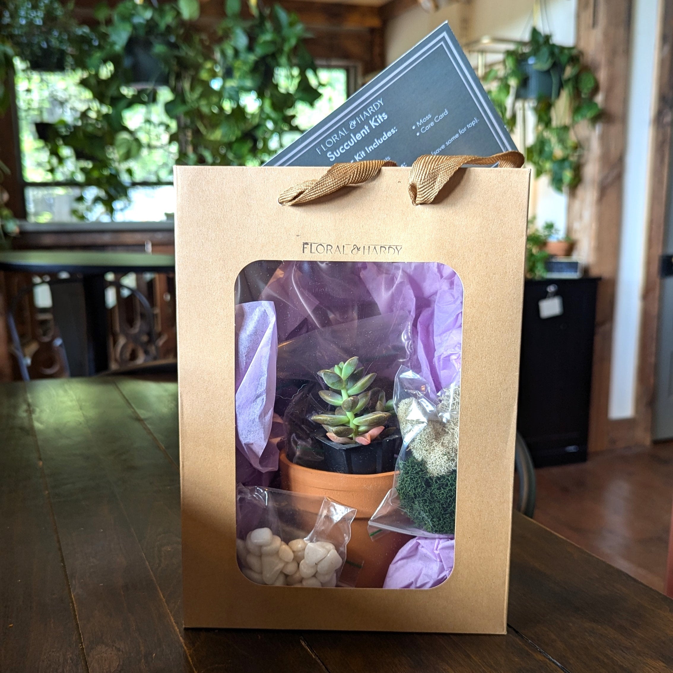 Small Succulent Kit Gift Bag | Floral & Hardy of Skippack